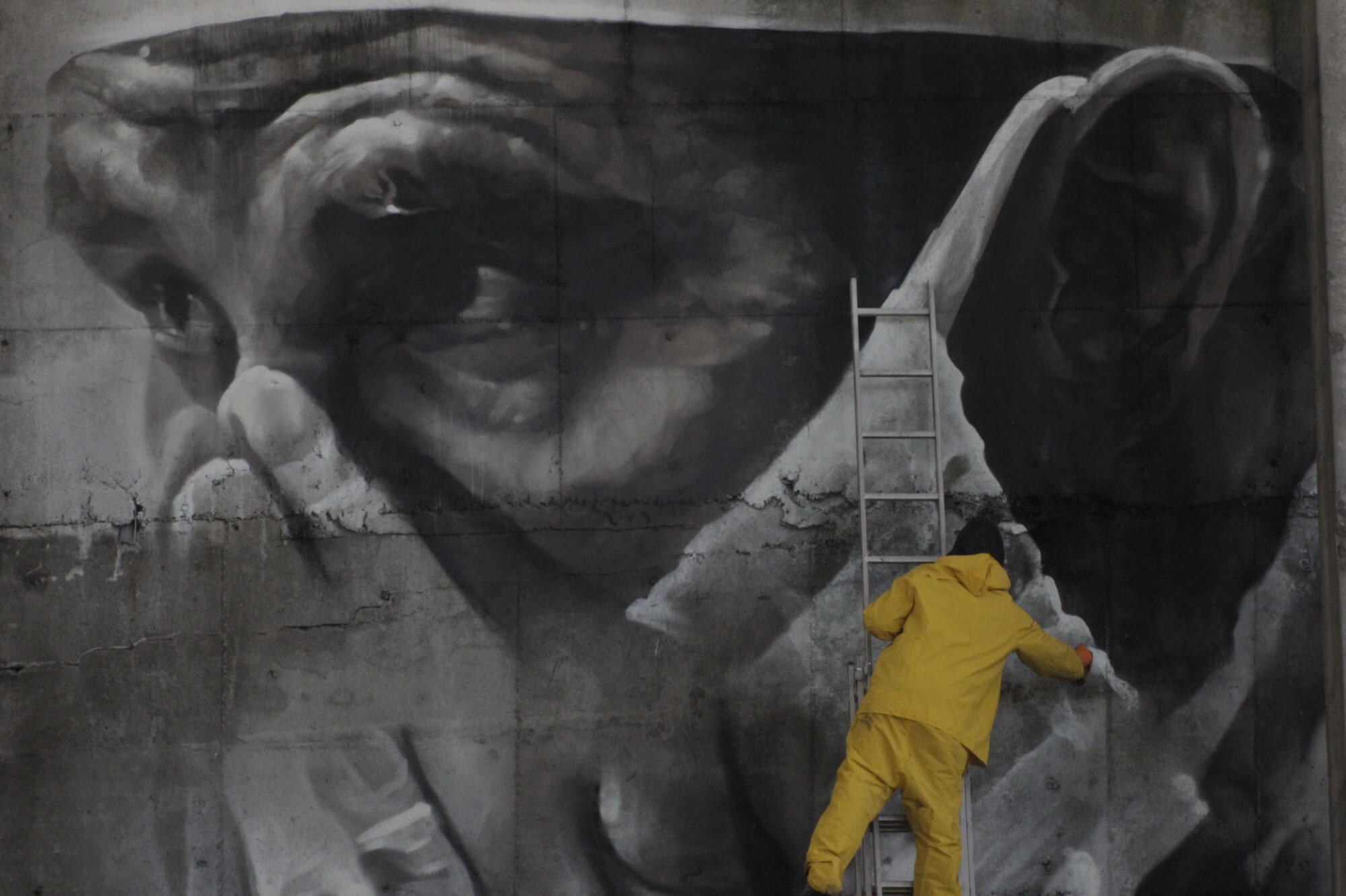 Mural by Guido Van Helten for Chernobyl 30 year anniversary 2016