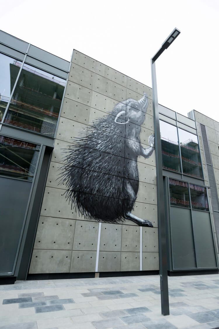 Street Artist in the Spotlight – ROA