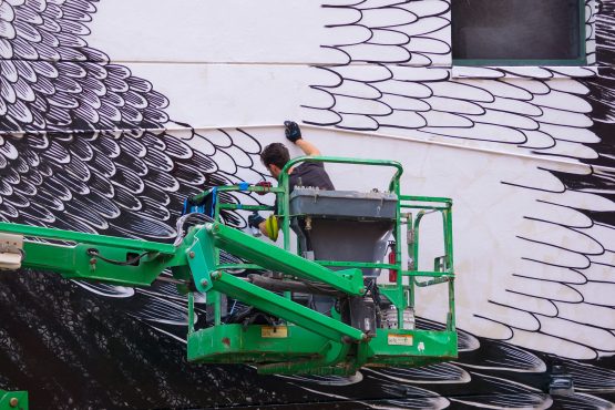 Street Artist in the Spotlight - Phlegm
