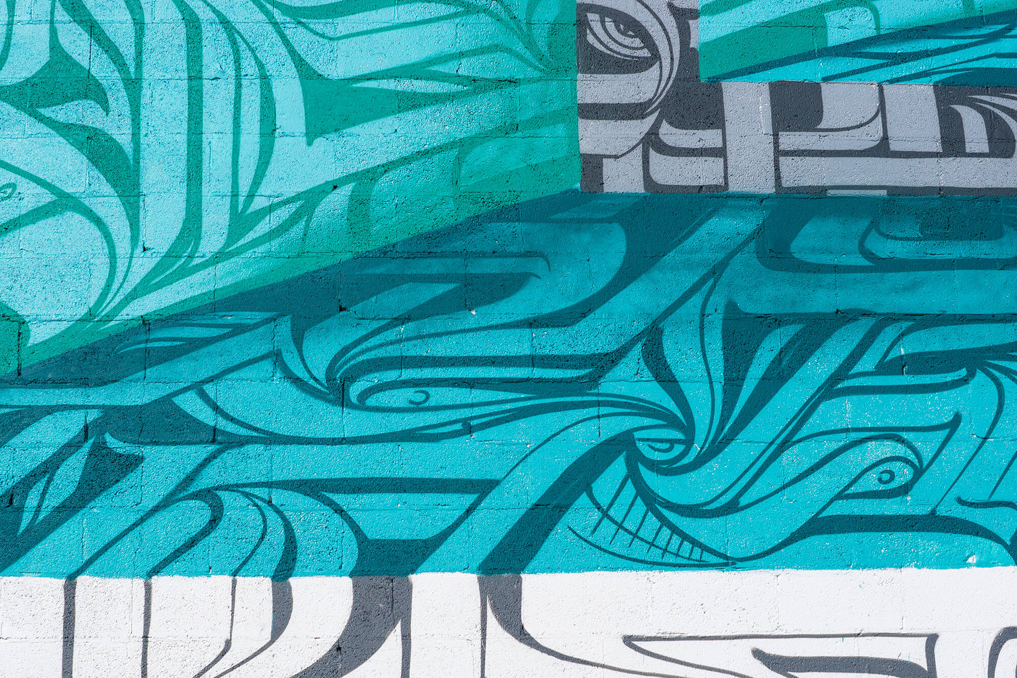 Street artist Astro creates an illusion of depth, Jacksonville, Florida ...