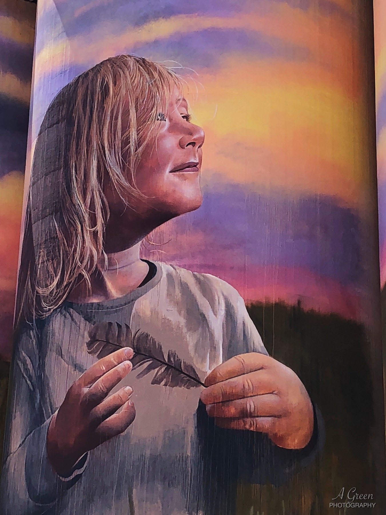 The Australian Silo Art Trail Series: South Australia Silo Art Trail, 2019