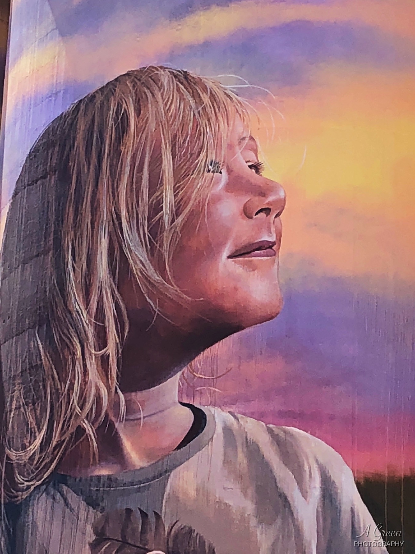 The Australian Silo Art Trail Series: South Australia Silo Art Trail, 2019