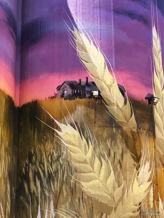 The Australian Silo Art Trail Series: South Australia Silo Art Trail, 2019