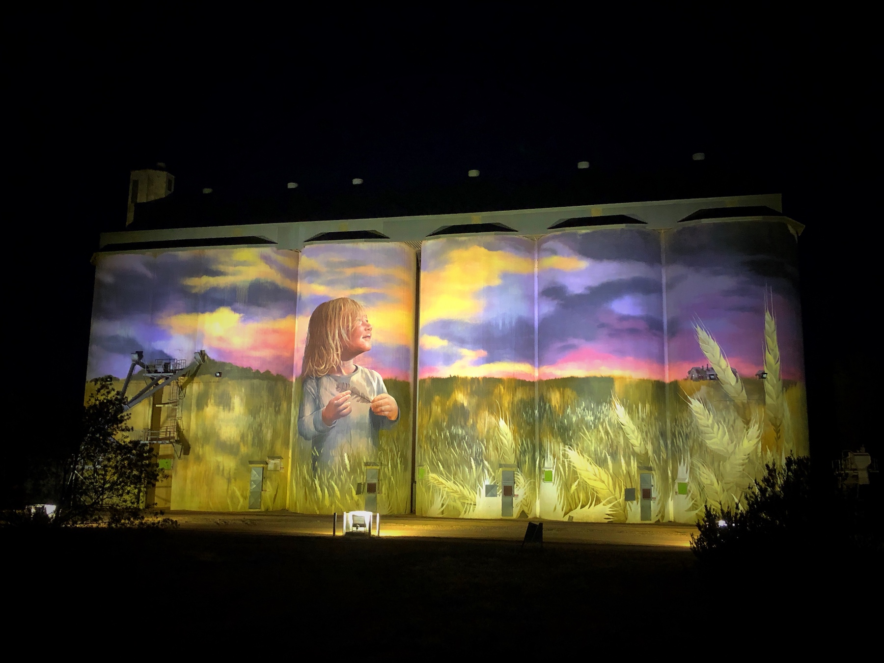 The Australian Silo Art Trail Series: South Australia Silo Art Trail, 2019
